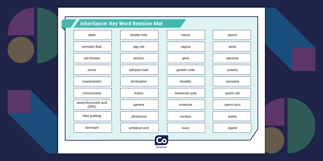 Inheritance: Key Word Revision Mat Work Sheet - Twinkl
