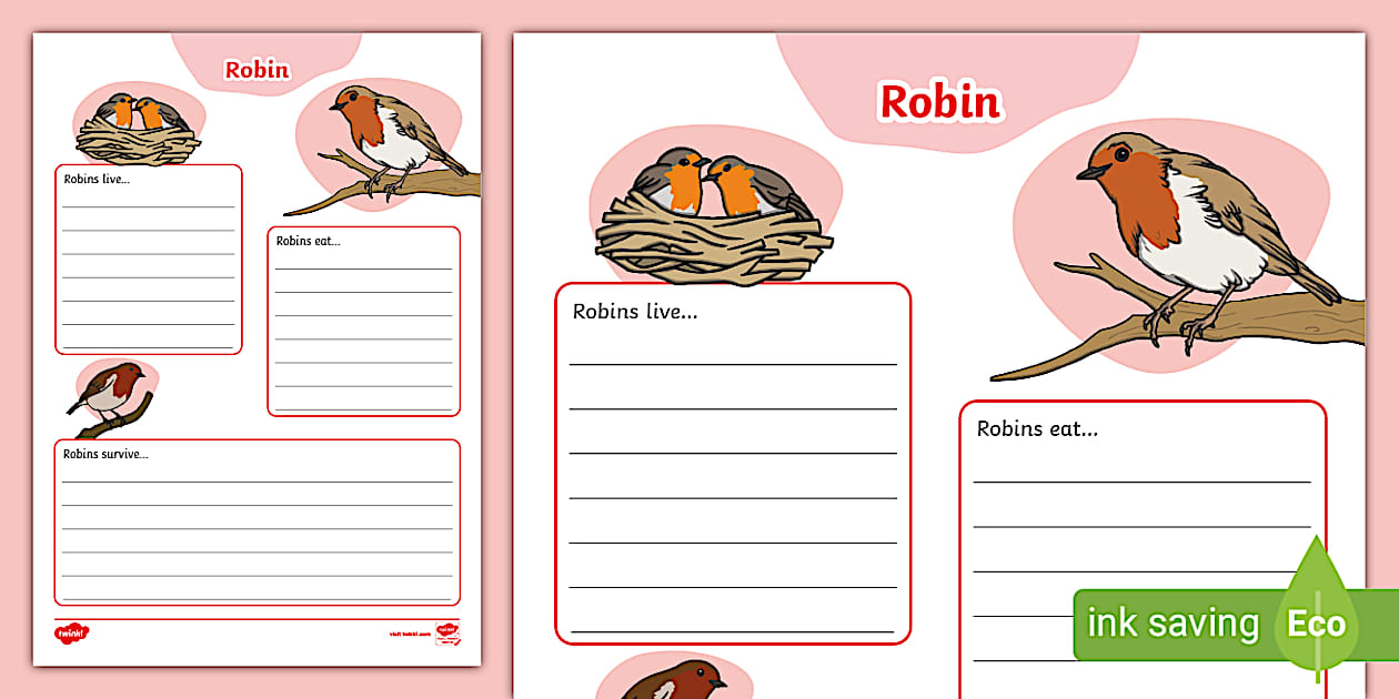 Robin Fact File Worksheet (teacher made) - Twinkl