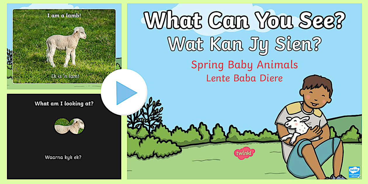Spring Baby Animals What Can You See? PowerPoint English/Afrikaans