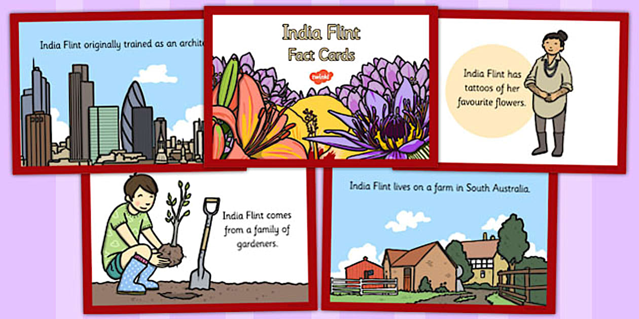 India Flint Fact Cards - Twinkl