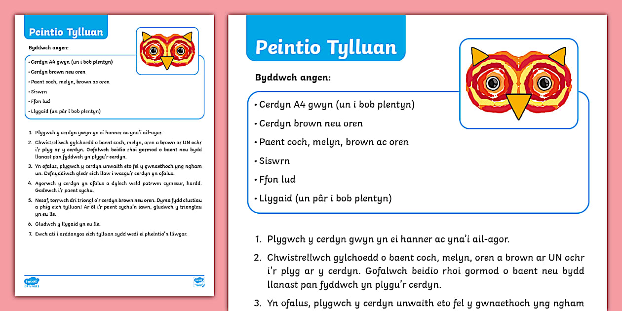 Cyfarwyddiadau Peintio Tylluan (teacher made) - Twinkl