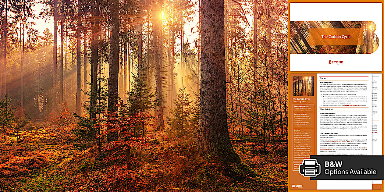 KS3 Earth and Atmosphere: The Carbon Cycle Lesson Pack