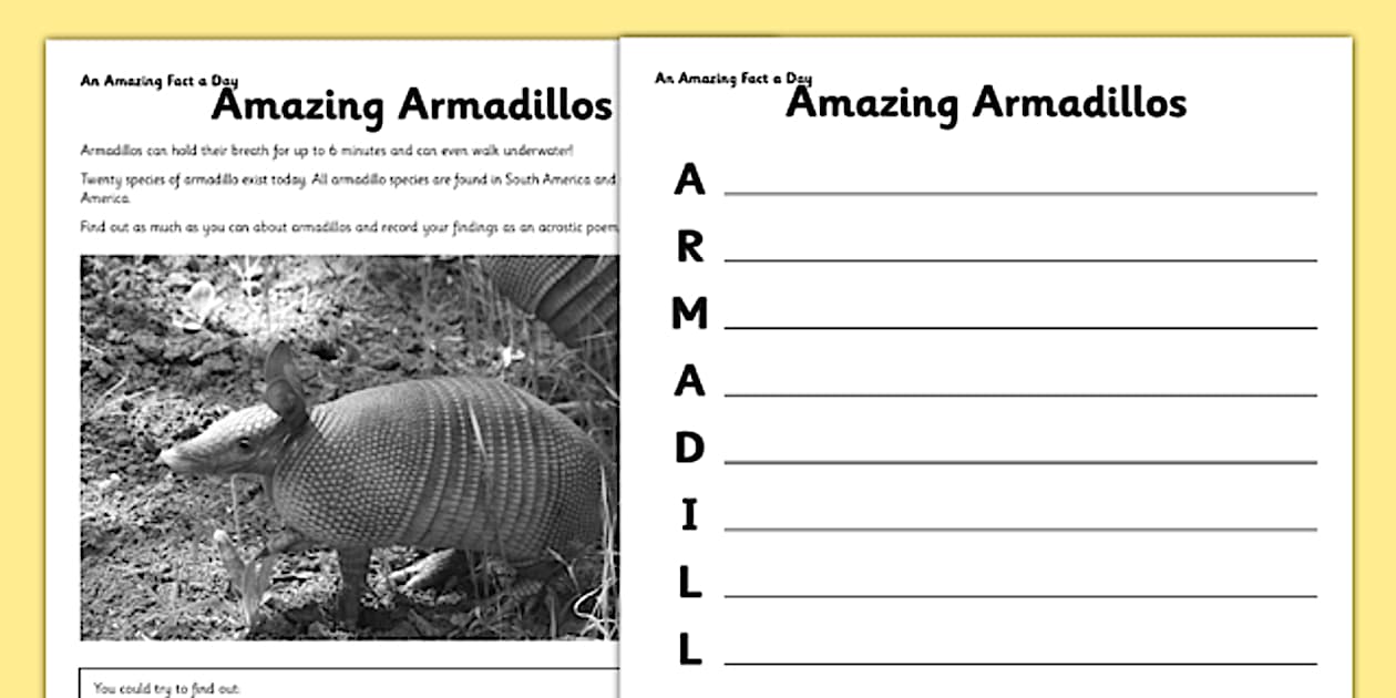 Amazing Armadillos Worksheet - ESL Animals Resources