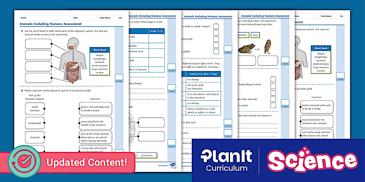 Year 4 Science Assessment Test