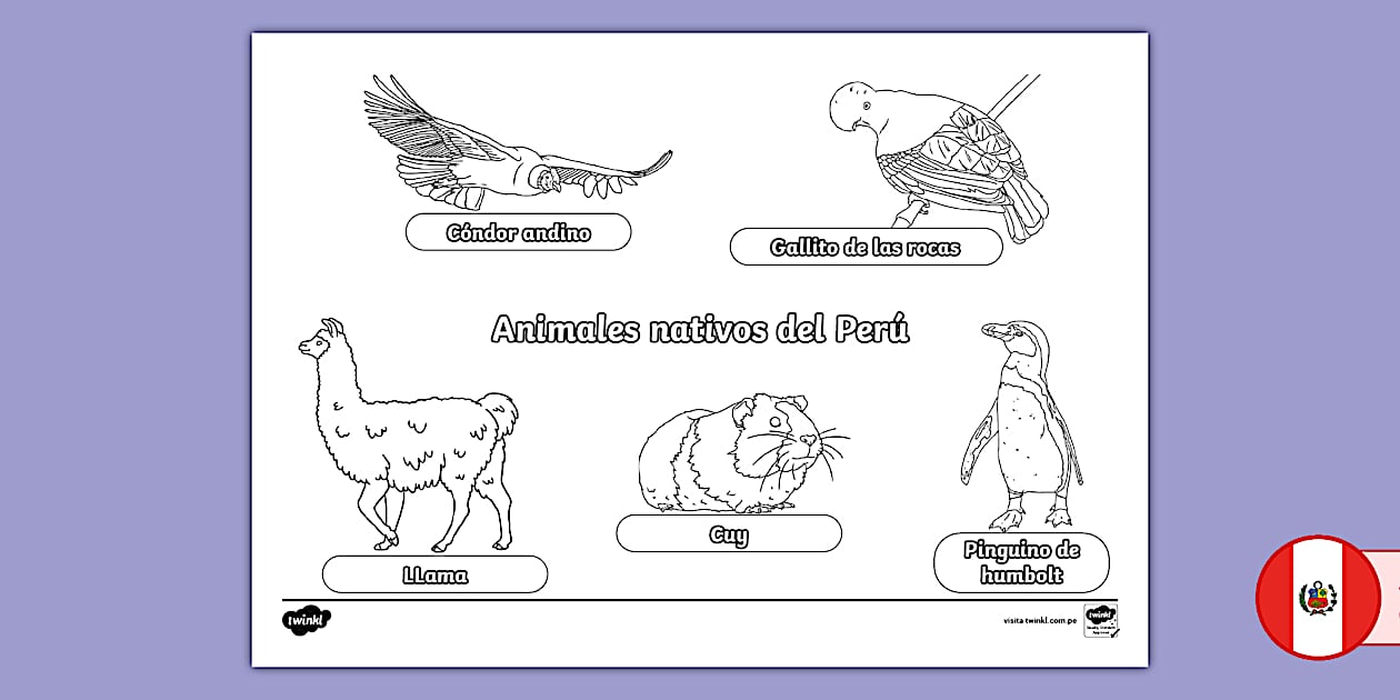 Hoja de colorear: Animales nativos del Perú | Twinkl