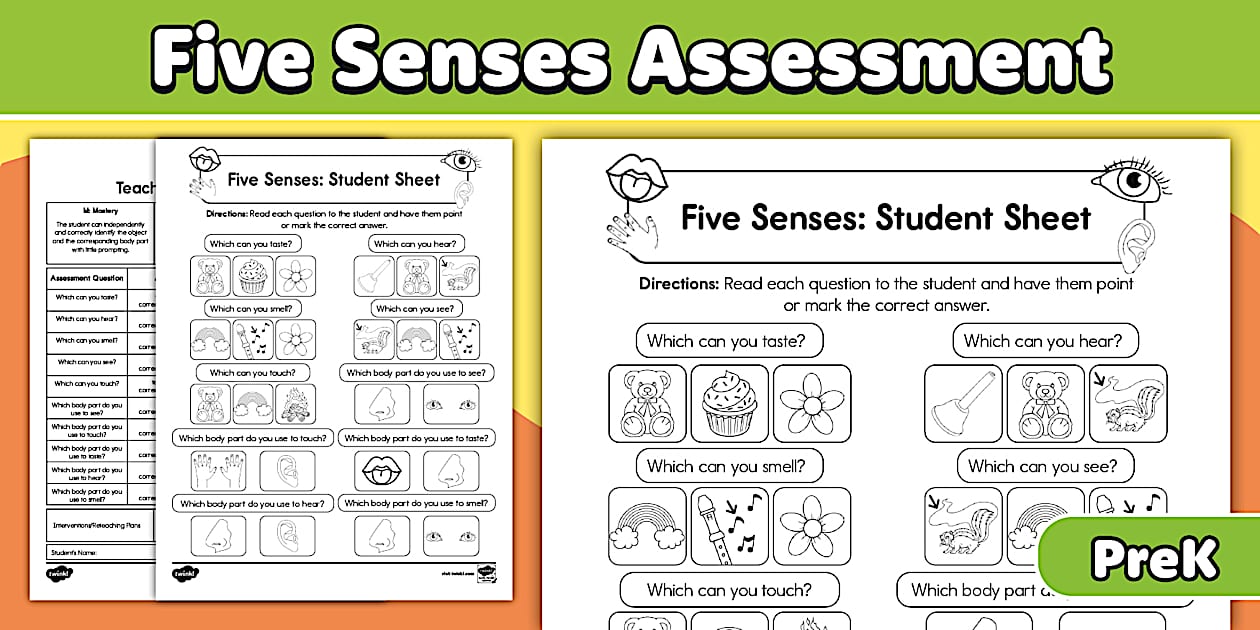 Prekindergarten Five Senses Assessment