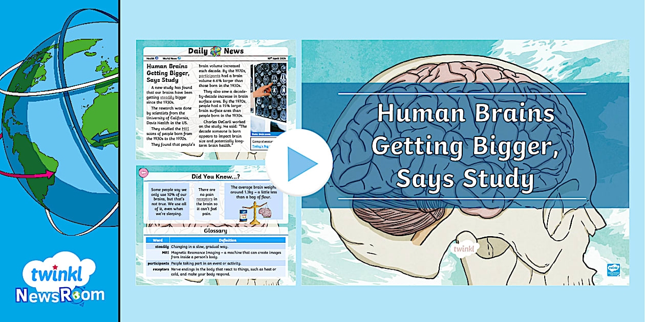 Human Brains Getting Bigger, Says Study Daily News PowerPoint (ages 7-11)
