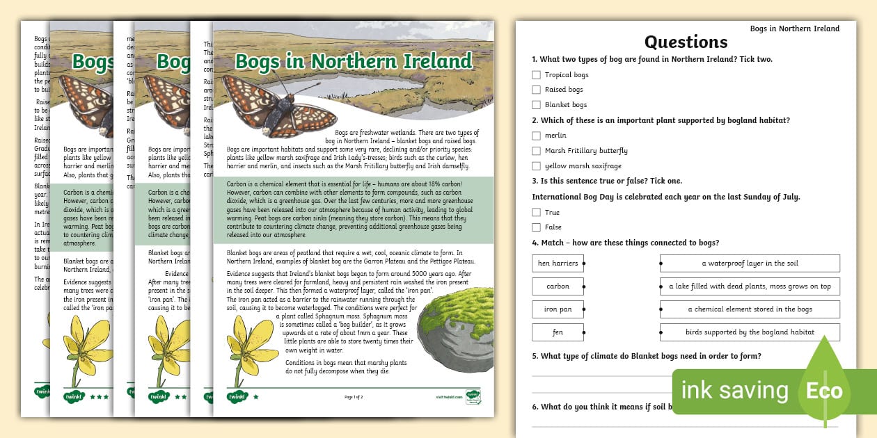 Bogs Northern Ireland Differentiated Comprehension Activity