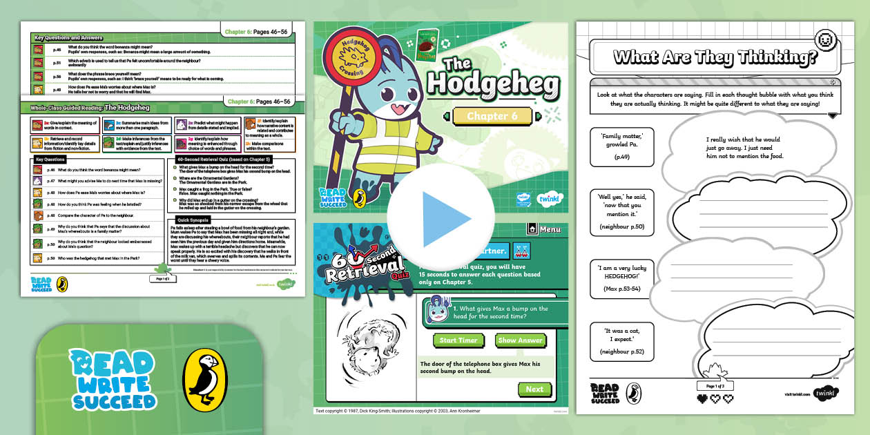 FREE! - The Hodgeheg Whole-Class Guided Reading Pack: Chapter 6 [LKS2]