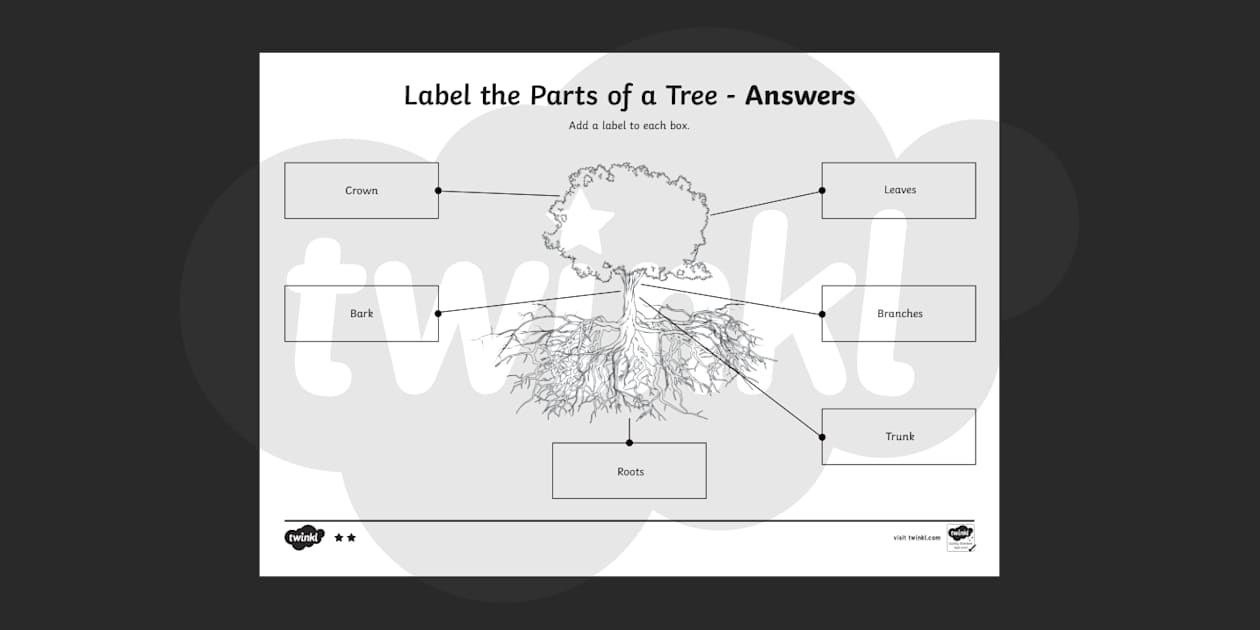 tree structure ks1