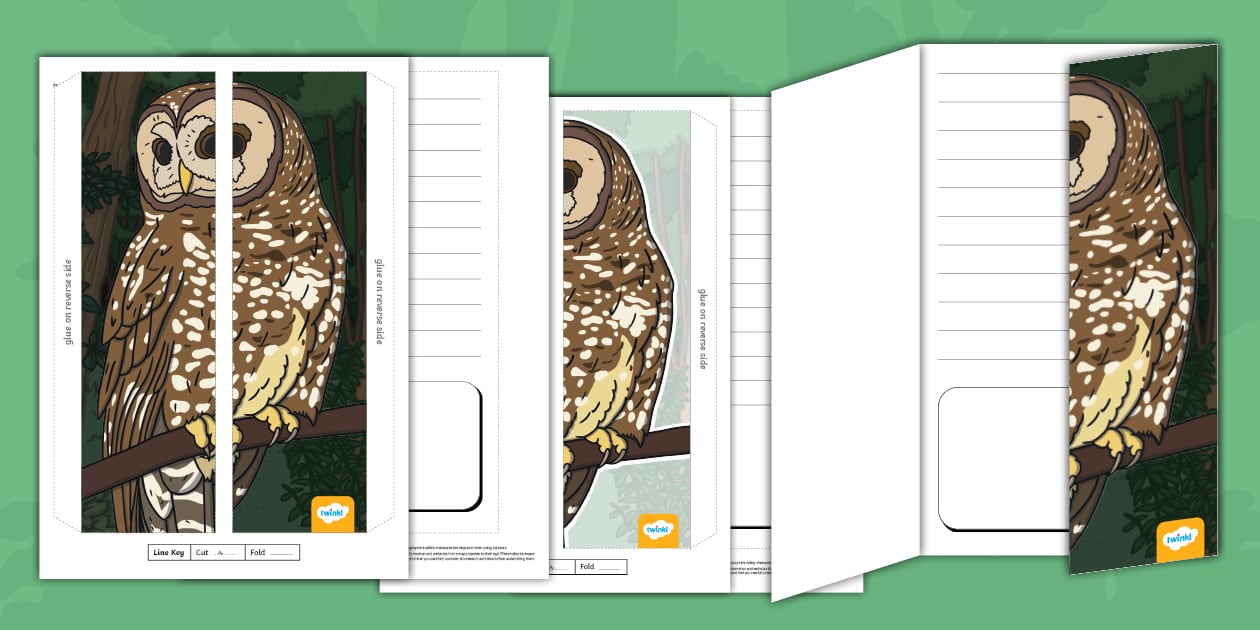Owls Folding Writing Template - Twinkl Home (Teacher-Made)
