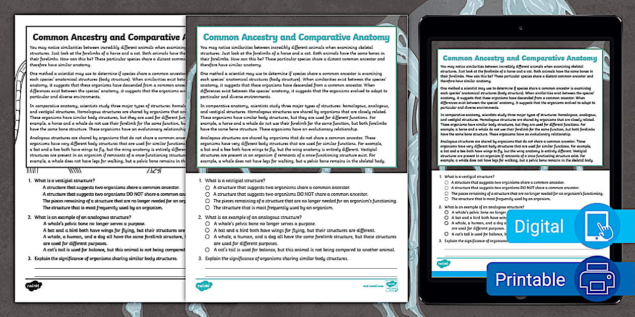 Eighth Grade Common Ancestry Reading Comprehension Passage