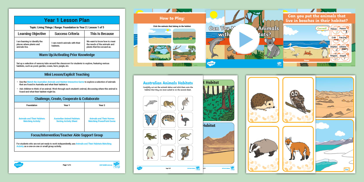 Year 1 Inclusion Living Things Differentiated Lesson Plan 1