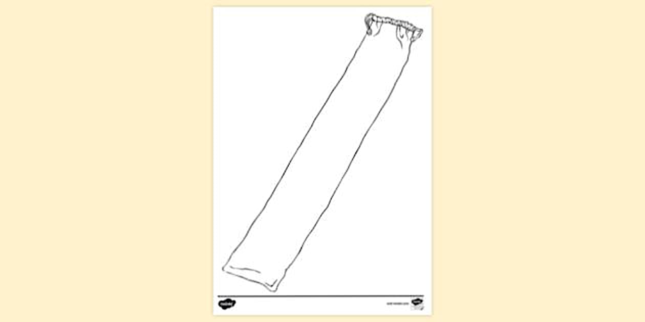 Recorder Case Colouring Sheet | Colouring Sheet - Twinkl