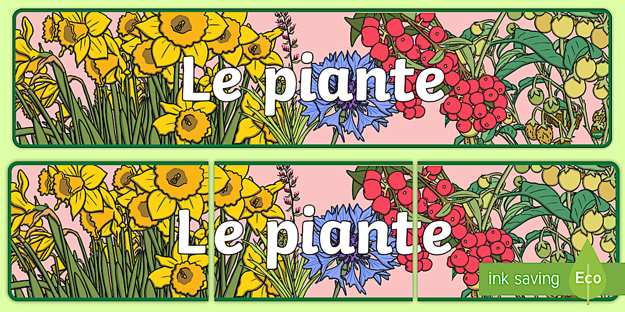 Le piante Striscione (nauczyciel wykonał) - Twinkl