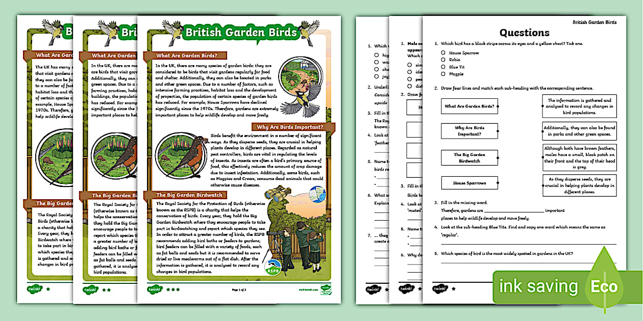 UKS2 Garden Birds Differentiated Reading Comprehension