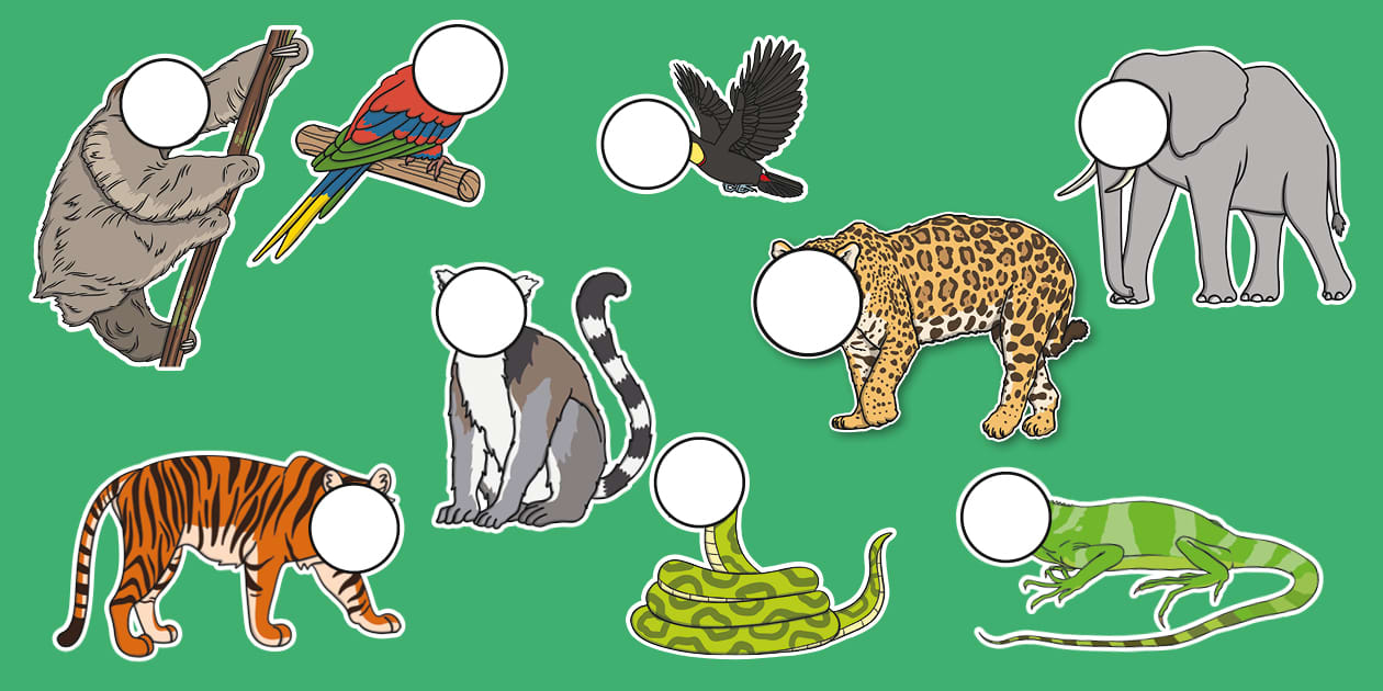Jungle and Rainforest Animals Face Cut-Outs