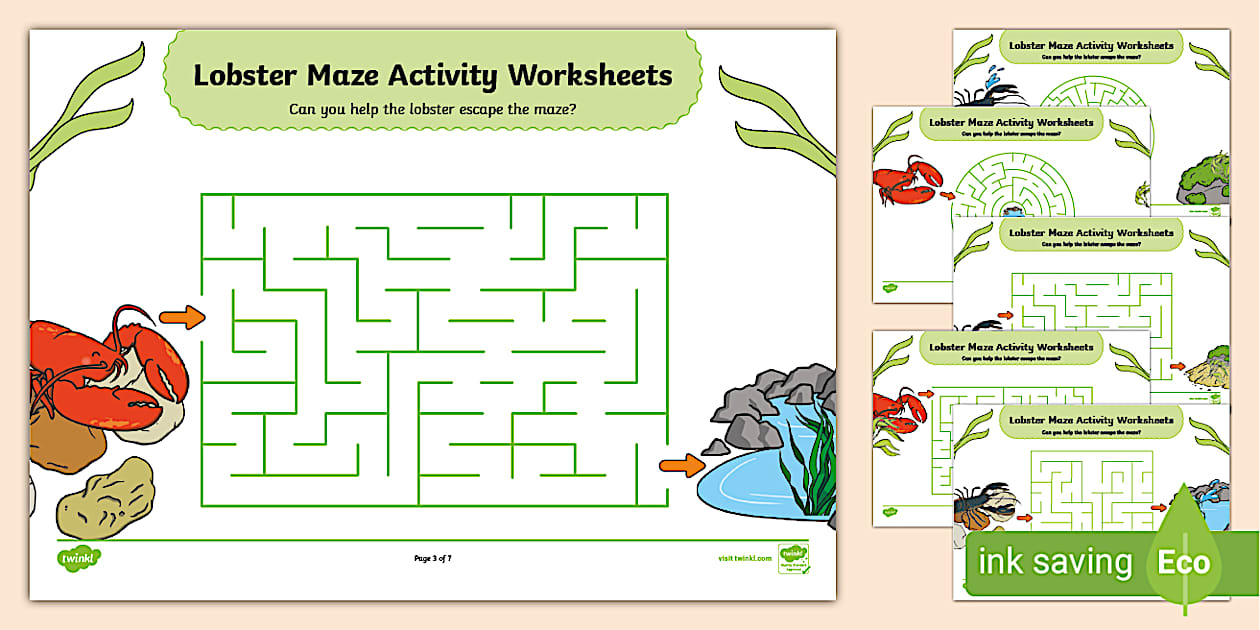 Lobster Maze Activity Worksheets (teacher made) - Twinkl