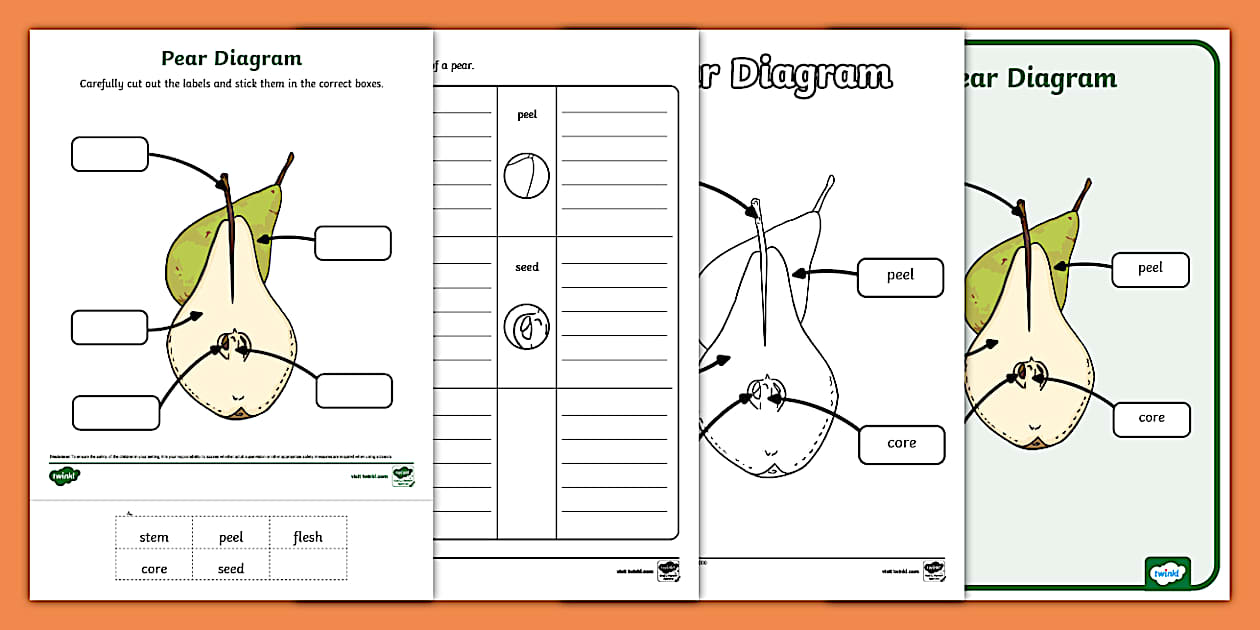Pear Diagram Activity Pack (teacher made) - Twinkl