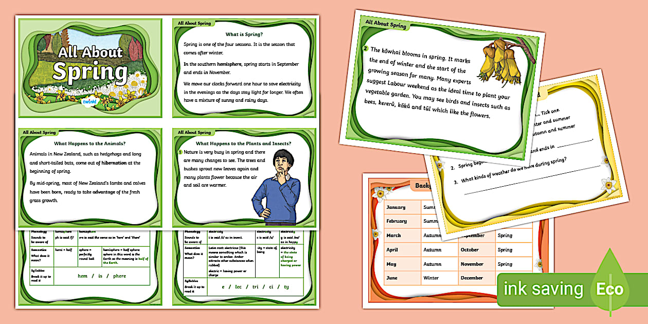 New Zealand Spring Reading Comprehension with Literacy Supports