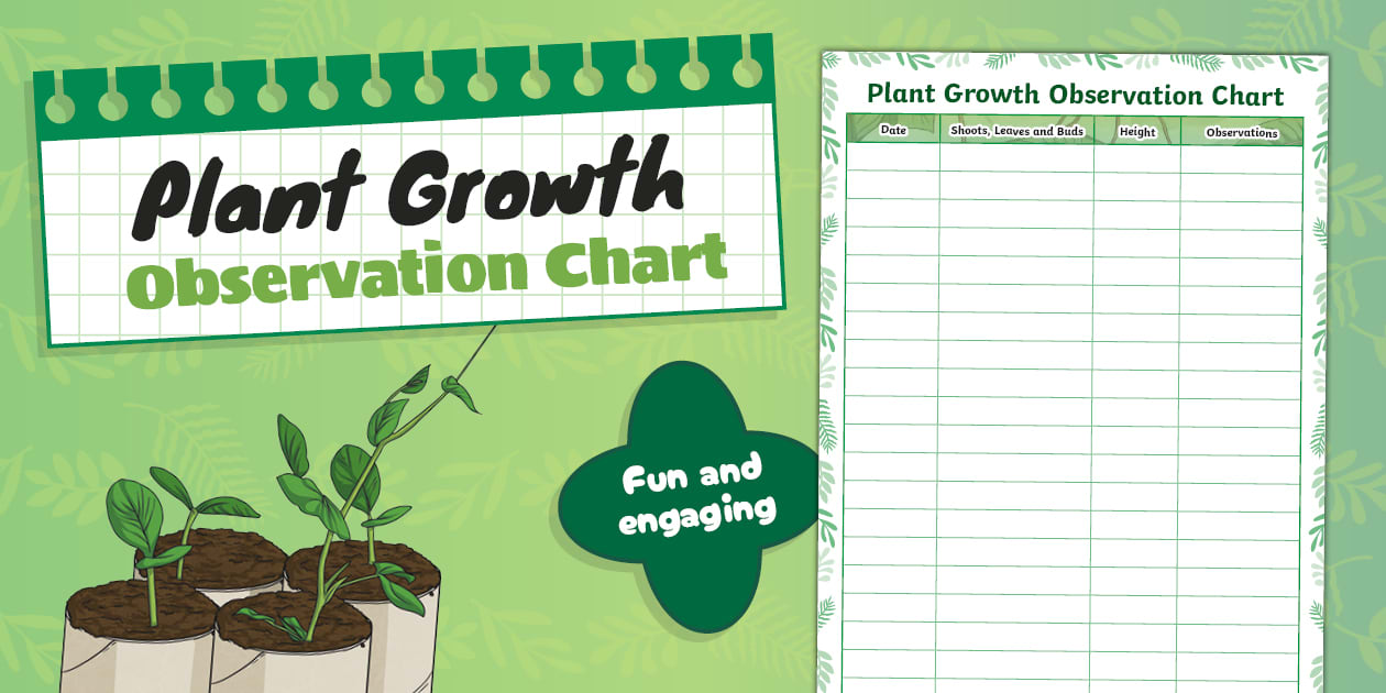 Plant Growth Observation Chart