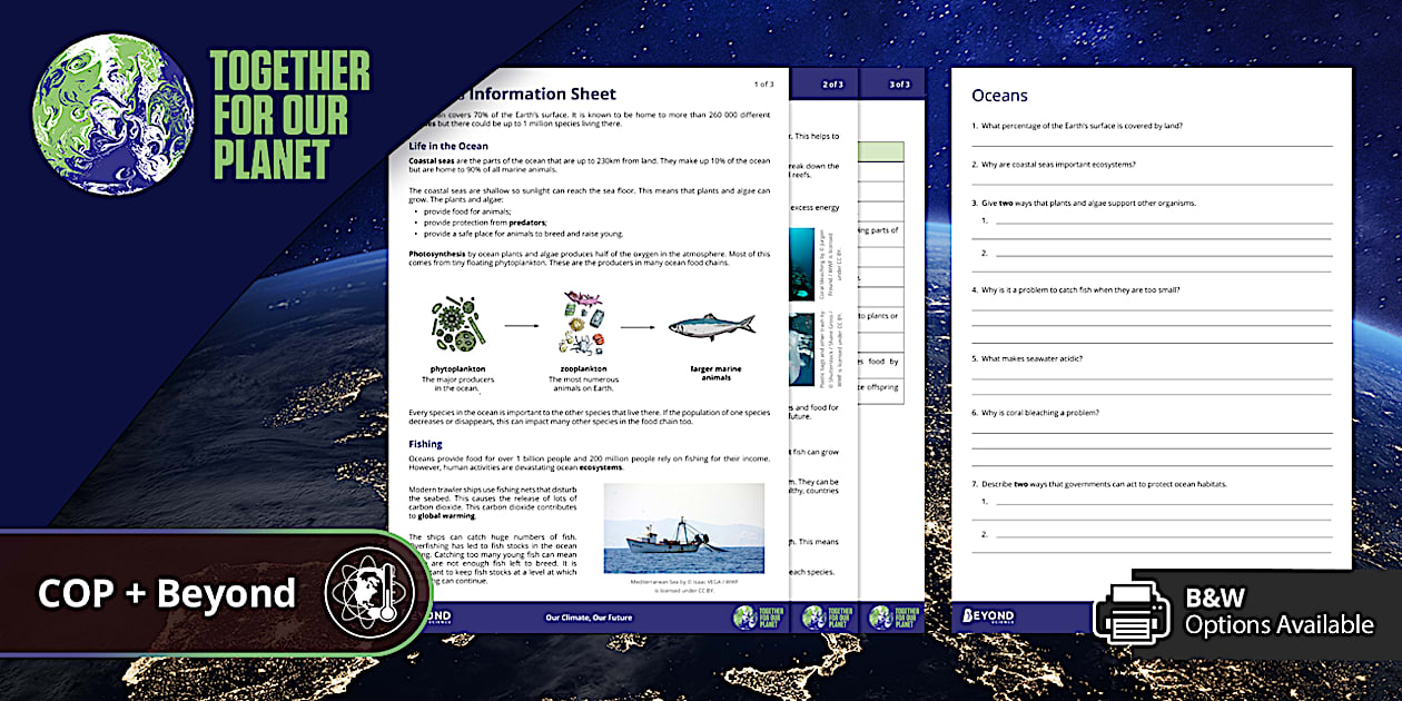 FREE! - Oceans Reading Comprehension | Climate Change | Beyond