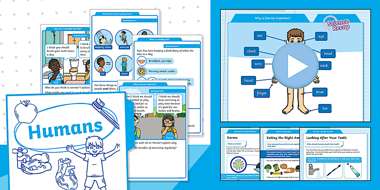 Step into Science: Y2: Autumn: Block 2: Humans: Steps 1 to 4