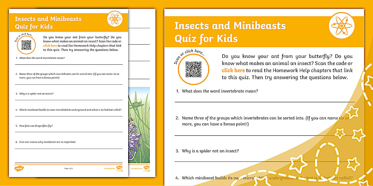 Insects and Minibeasts Quiz for Kids (teacher made) - Twinkl