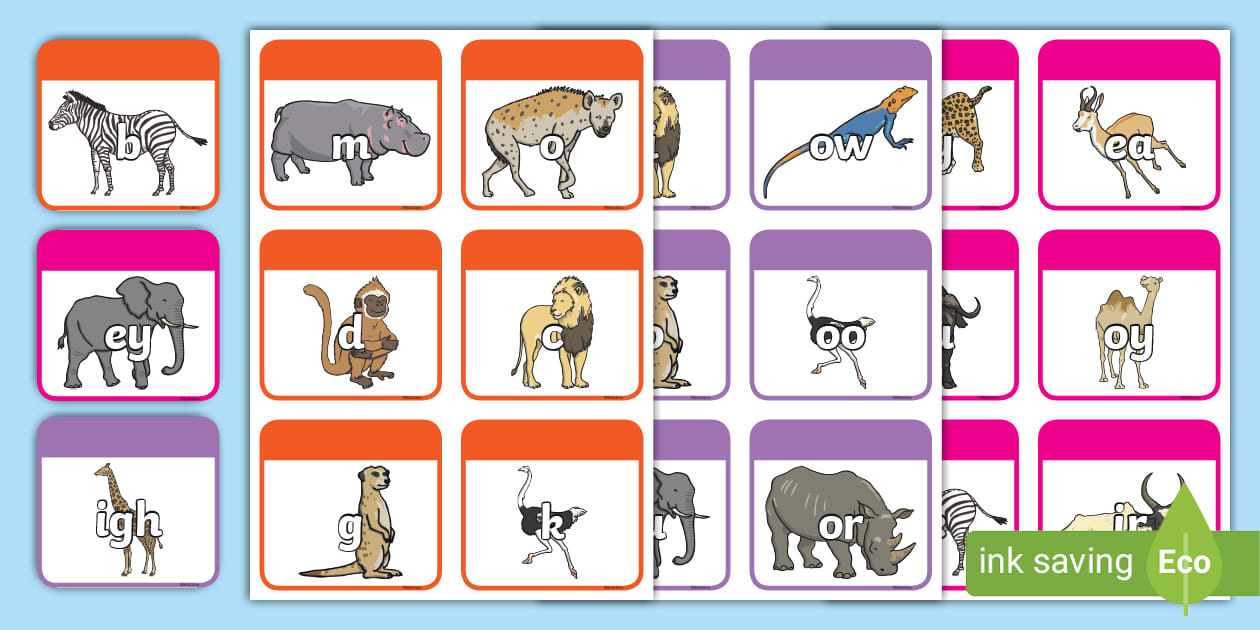 Phase 2, 3 and 5 Phonemes on Safari Animals Flashcards