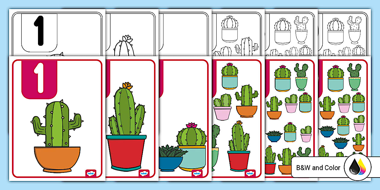 Succulent Numbers 0-20 Posters (teacher made) - Twinkl