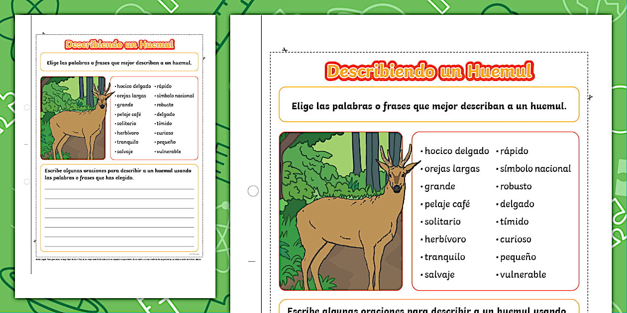 Actividad de Descripción: Huemul (teacher made) - Twinkl