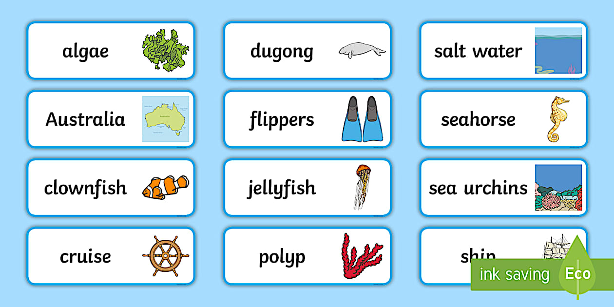 Great Barrier Reef Word Cards - Twinkl