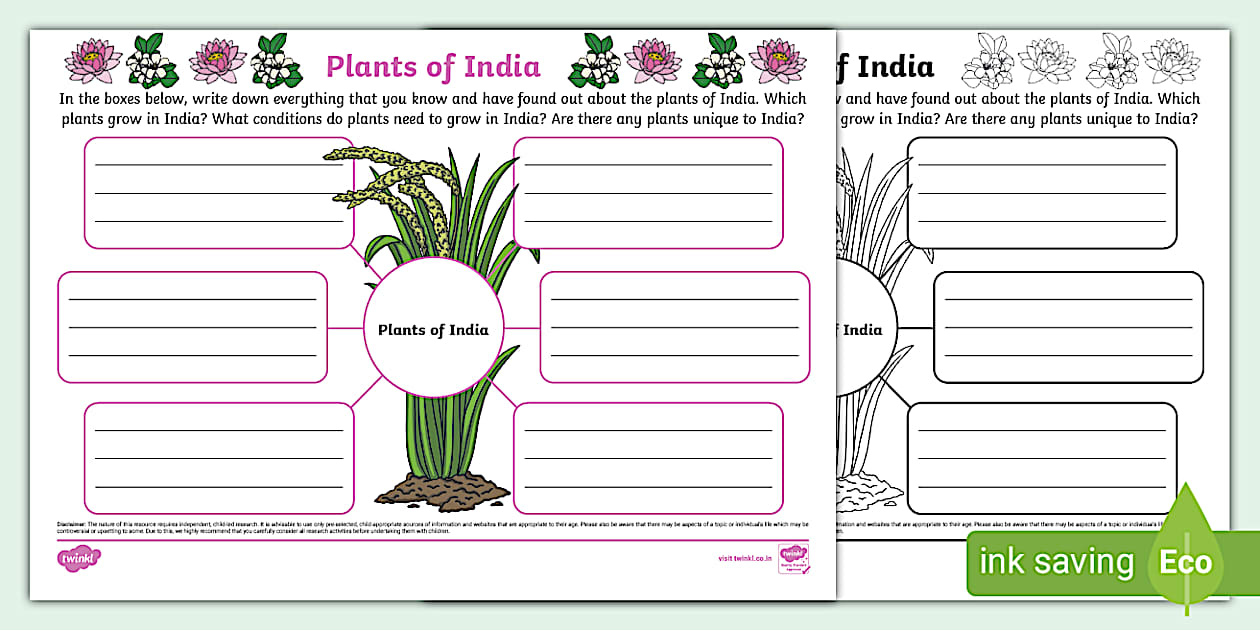 Plants of India Mind Map (teacher made) - Twinkl