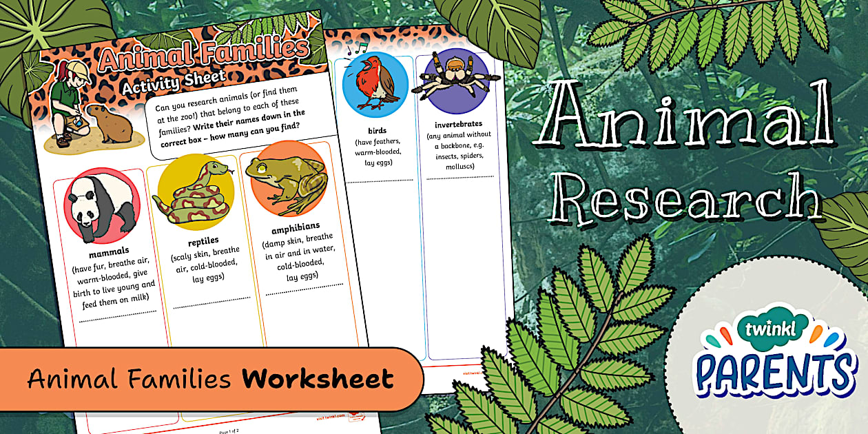 Animal Families Activity Sheet
