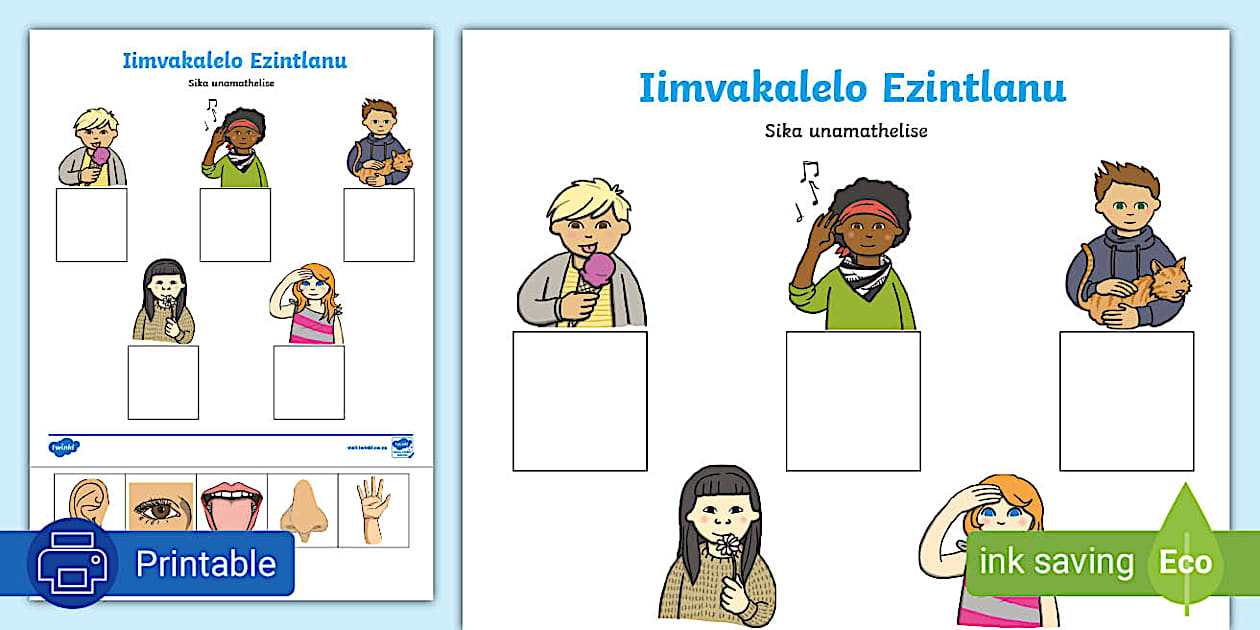 Body Parts Matching Worksheet PDF | The 5 Senses | isiXhosa