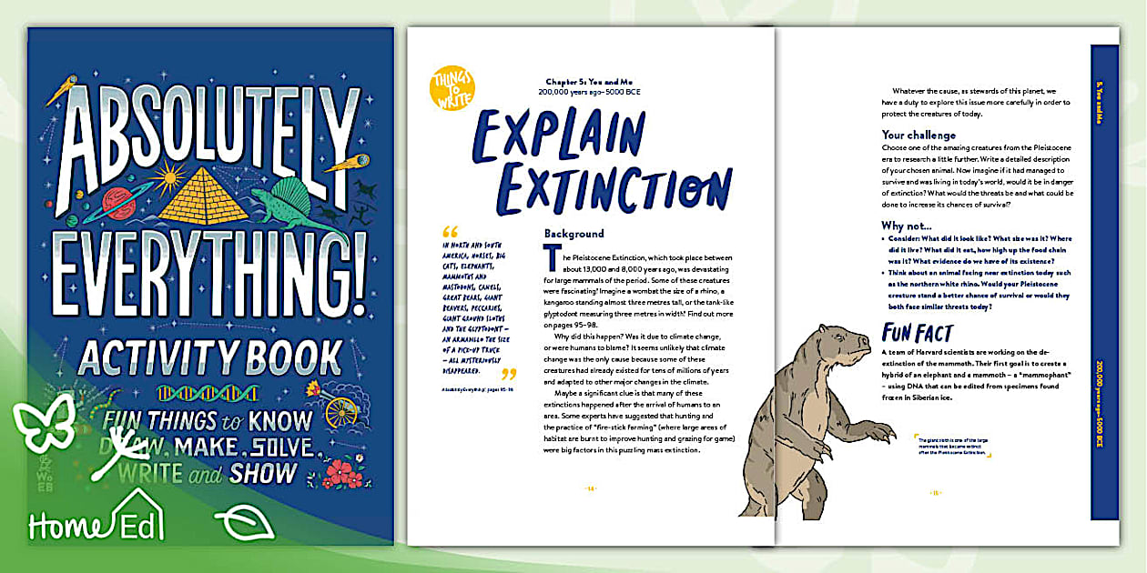 FREE! - Absolutely Everything Activity Book - Chapter 5