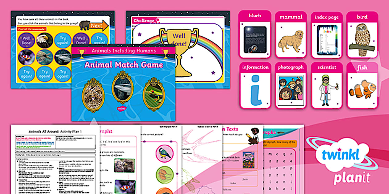 Guided Reading About Animals Groups For KS1 | Year 1 English