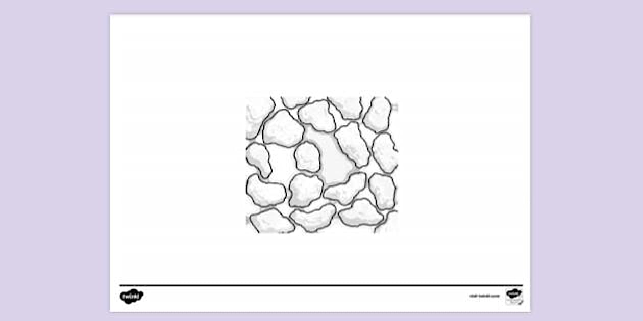 Soil Diagram Colouring | Colouring Sheets (teacher made)