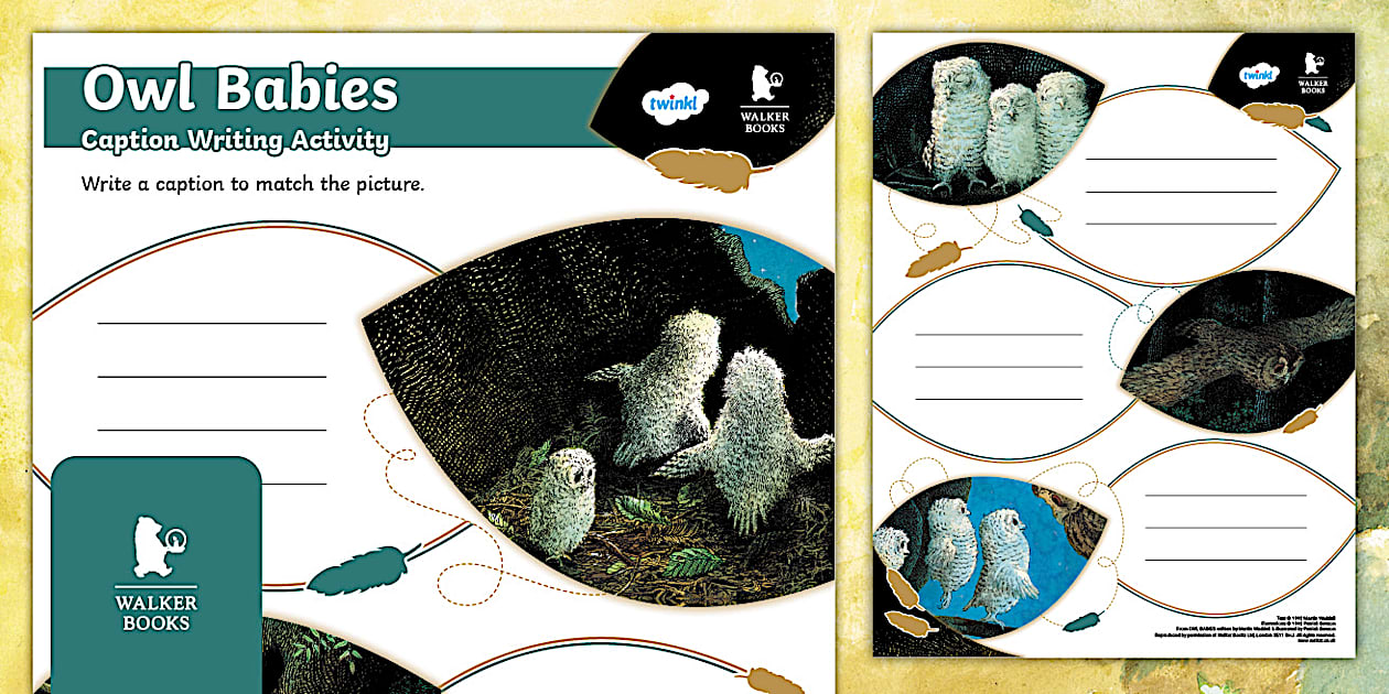 FREE! - Owl Babies Caption Writing Worksheet (Teacher-Made)