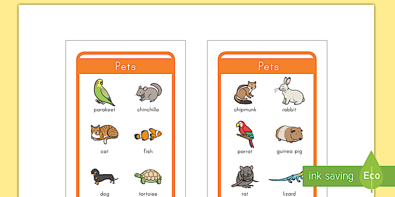 Pets Words Tolsby/Fiestad Prompt Frame (teacher made)