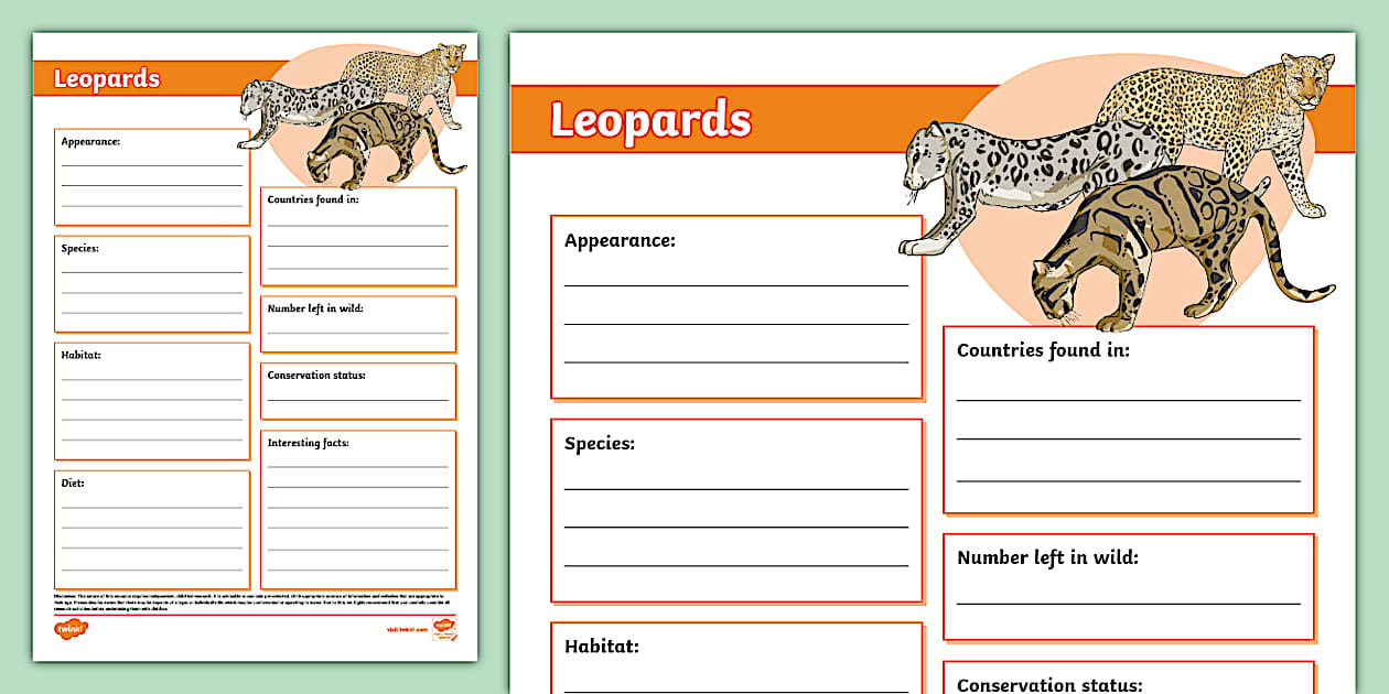 Leopards Fact File Template (teacher made) - Twinkl