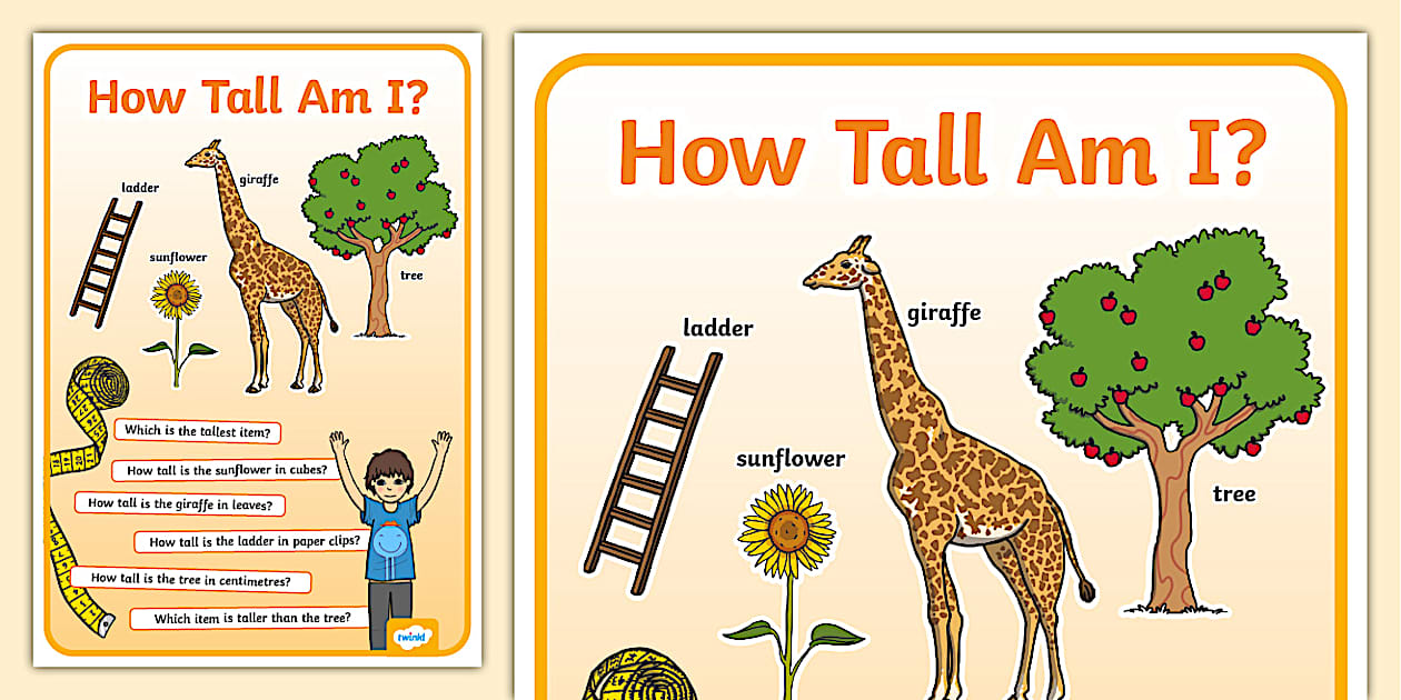 👉 How Tall Am I? Discussion Display Poster - Twinkl