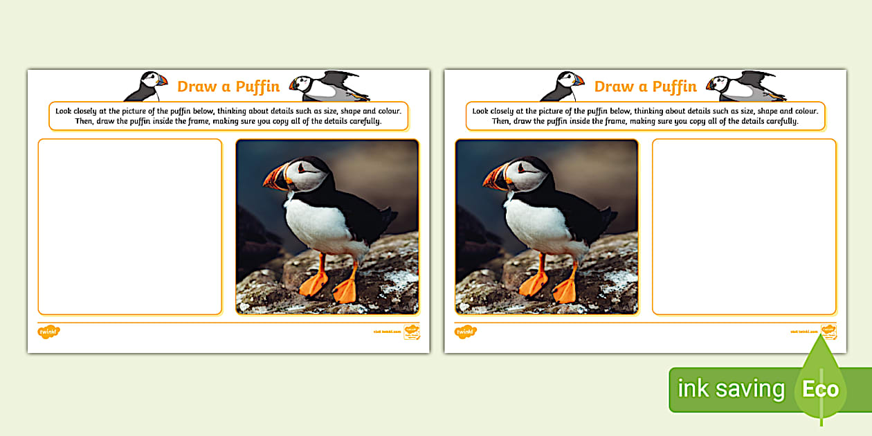 Draw a Puffin Art Activity,puffin,puffin art (teacher made)