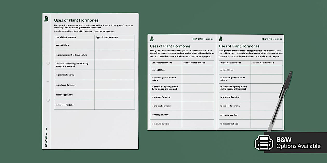 Uses of Plant Hormones Worksheet (teacher made) - Twinkl