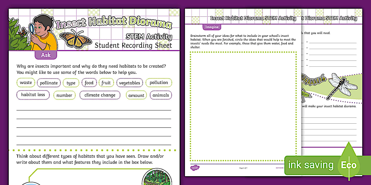 Insect Habitat Diorama STEM Activity - Twinkl