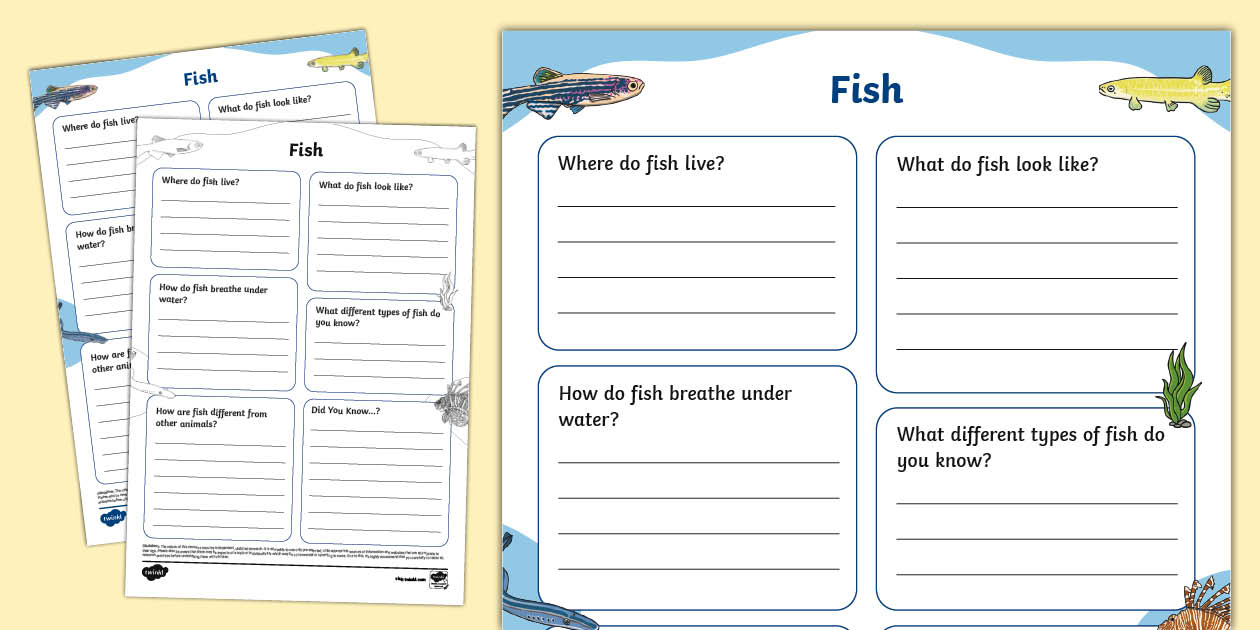 Fish Fact File Template, Fish Facts, Facts about Fish