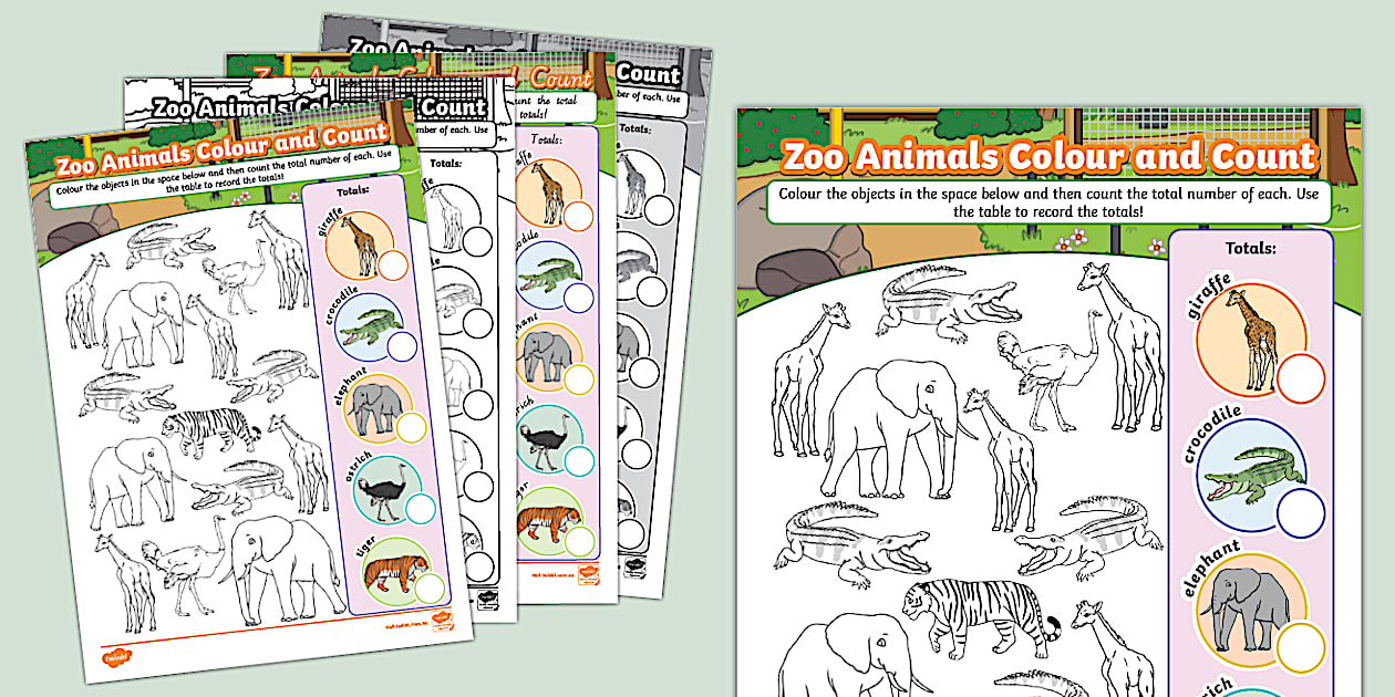 Zoo Animals Colour and Count Worksheet (teacher made)