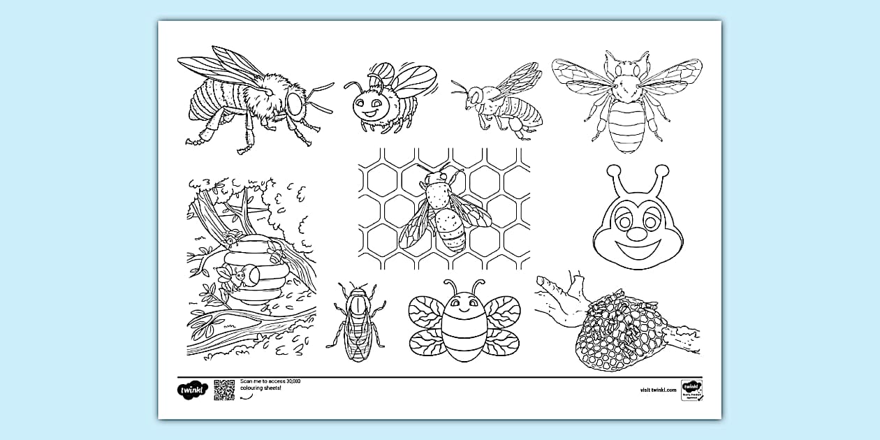 Cute Bee Things Doodle Colouring Page (teacher made)