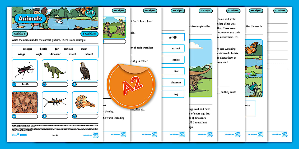 YLE Flyers - Vocabulary Activity Sheet (Animals) [A2]