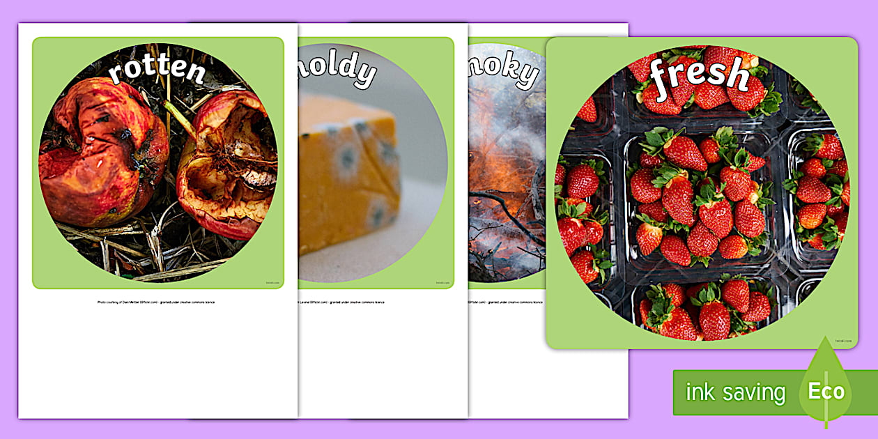 TAS Sensory Words (Smell) Display Photo Cut-Outs - Twinkl